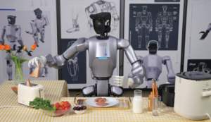 Atom ヒューマノイドロボット - ROBO PRIDE｜圧倒的な提案